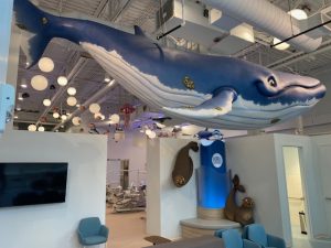 Discover Our Dentistry & Orthodontics - Bubble Dentistry